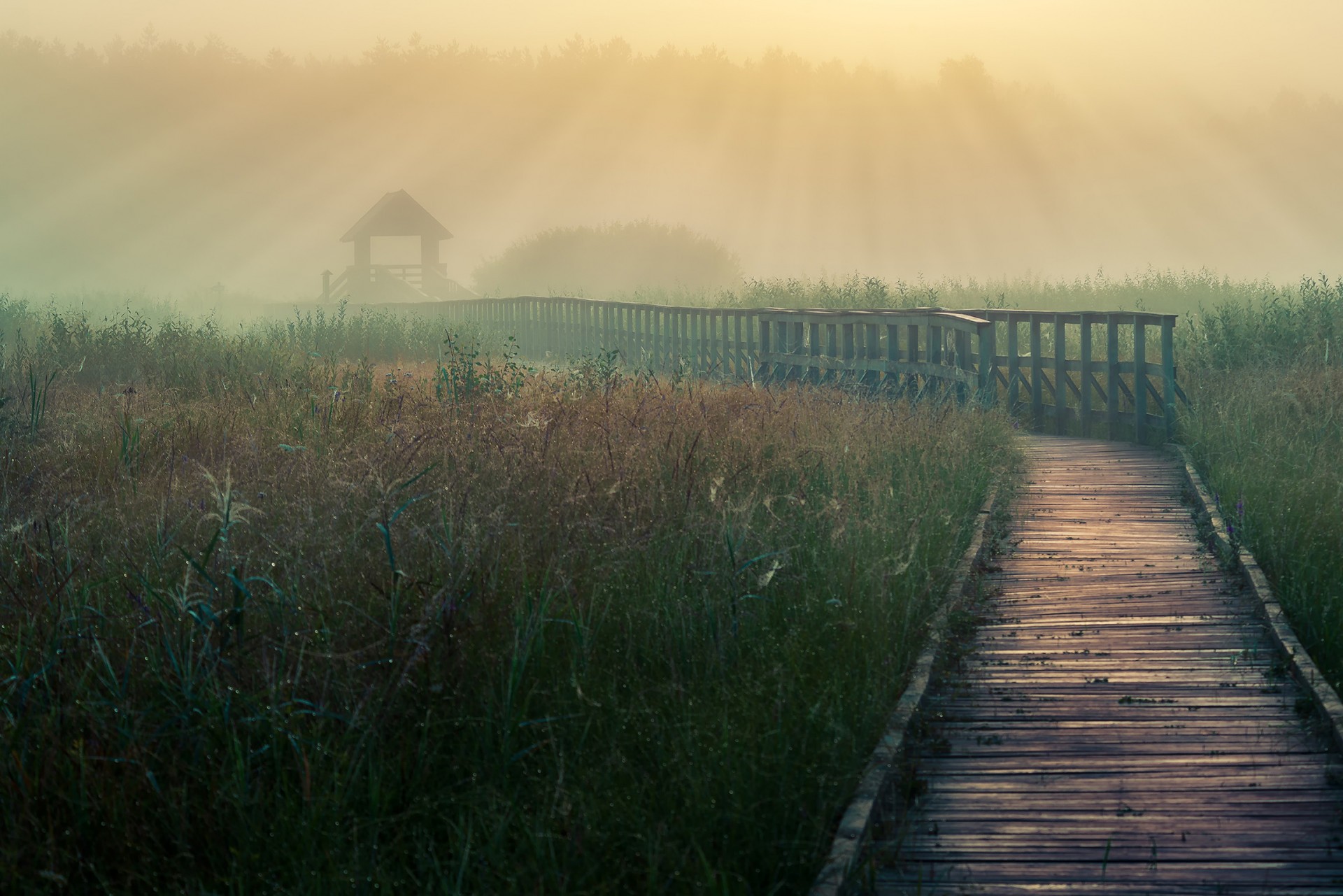 Nationalparks - Polen Travel (DE)